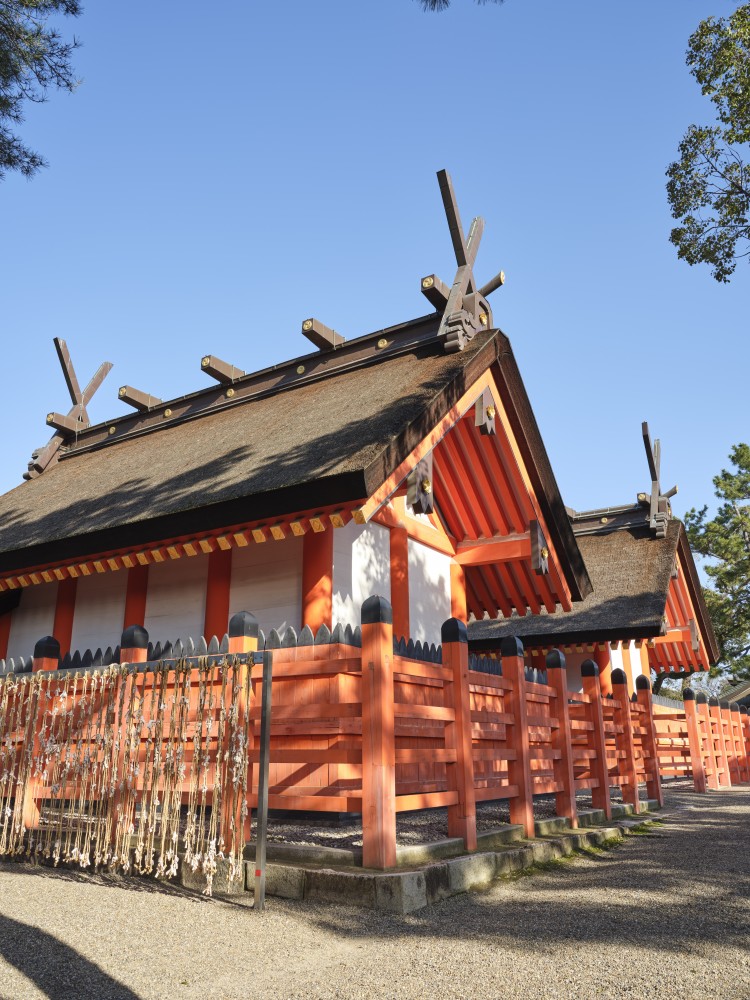 文化財デジタルコンテンツダウンロード機能